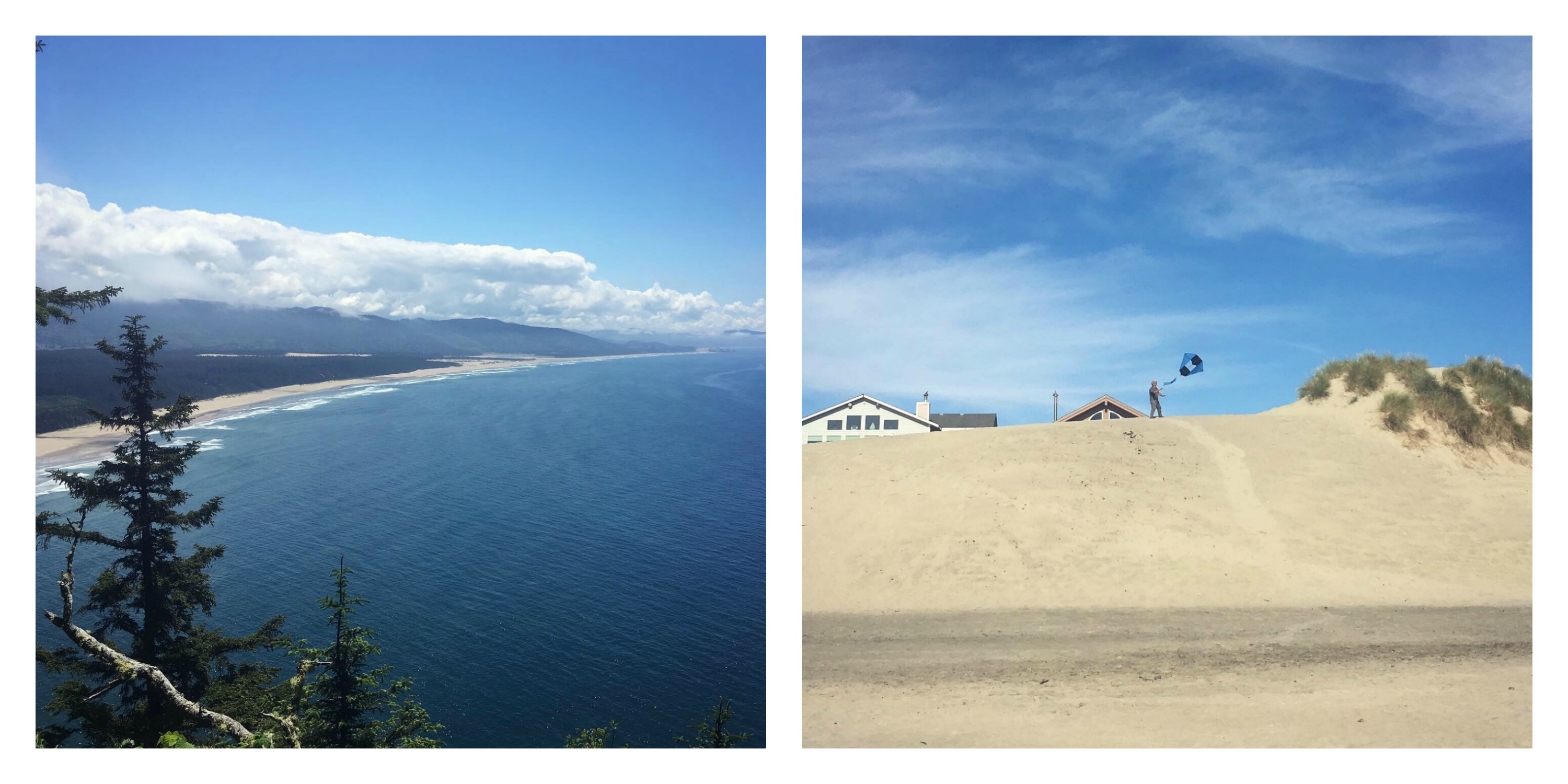 the-beach – pitchfork & crow