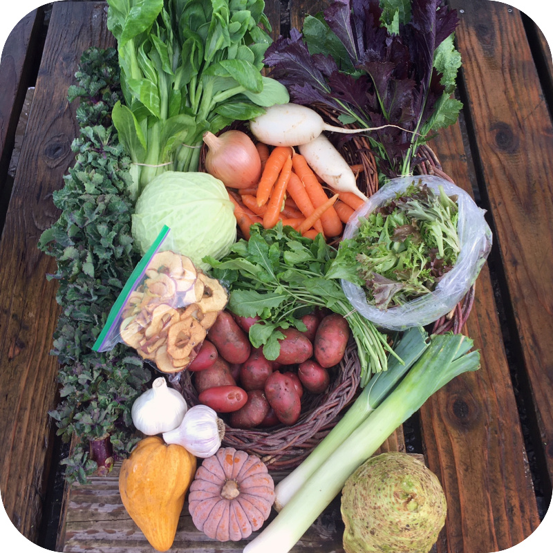 February 2023 – pitchfork & crow